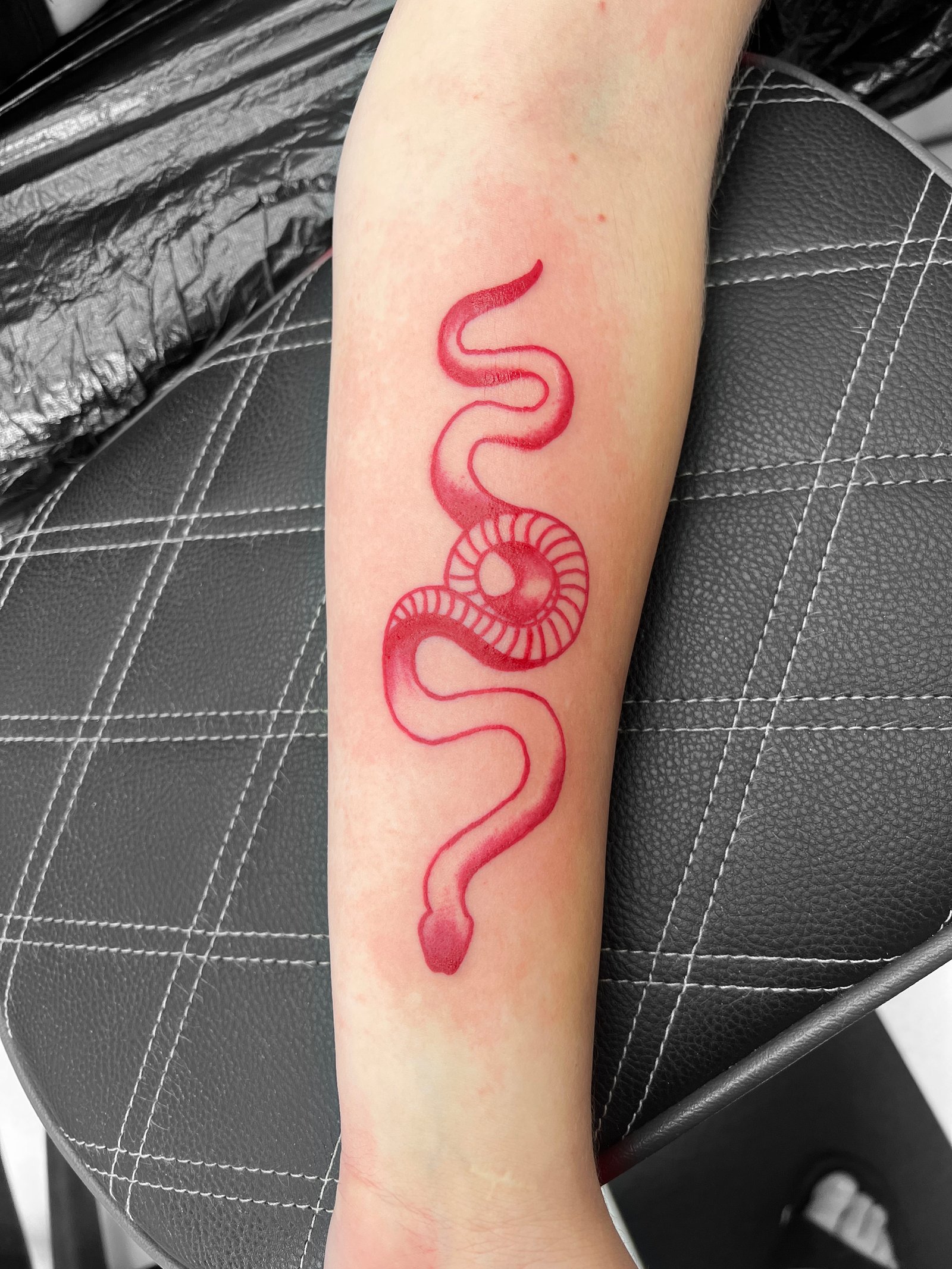 redsnake